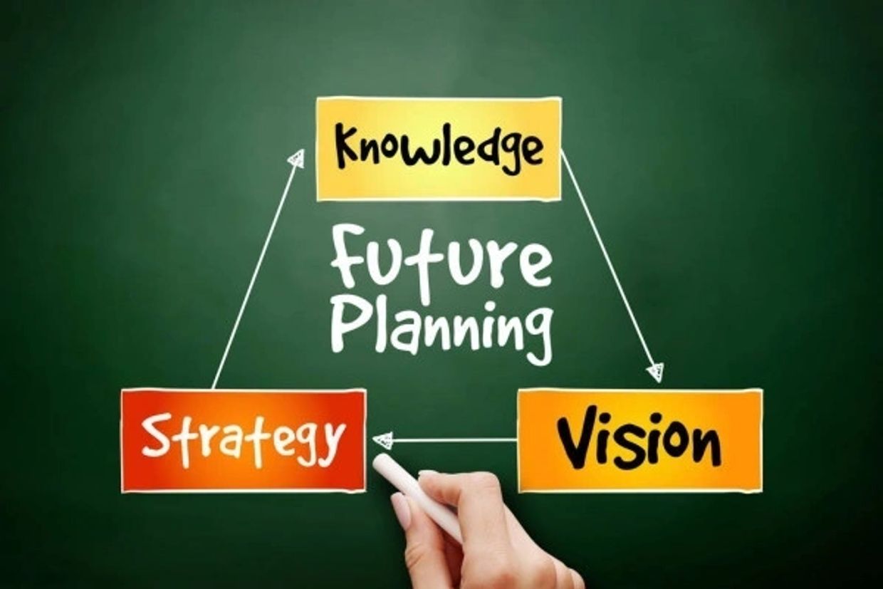 Strategic Future Planning - Medylife Global